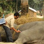 From Delhi: Trip to Taj Mahal, Wildlife SOS and Agra Fort - Exploring Agra Fort