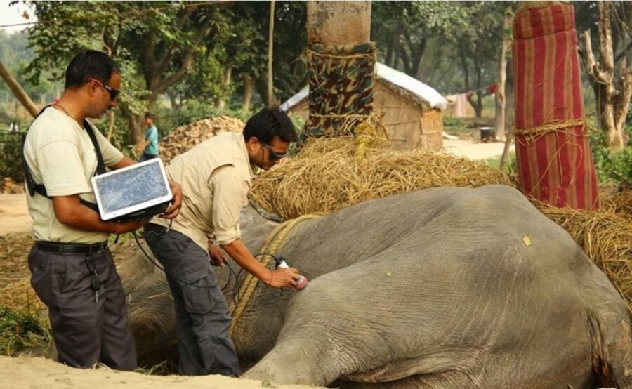 From Delhi: Trip to Taj Mahal, Wildlife SOS and Agra Fort - Exploring Agra Fort