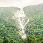 From Goa: Dudhsagar Waterfalls & Plantation Tour - Practical Details That Matter