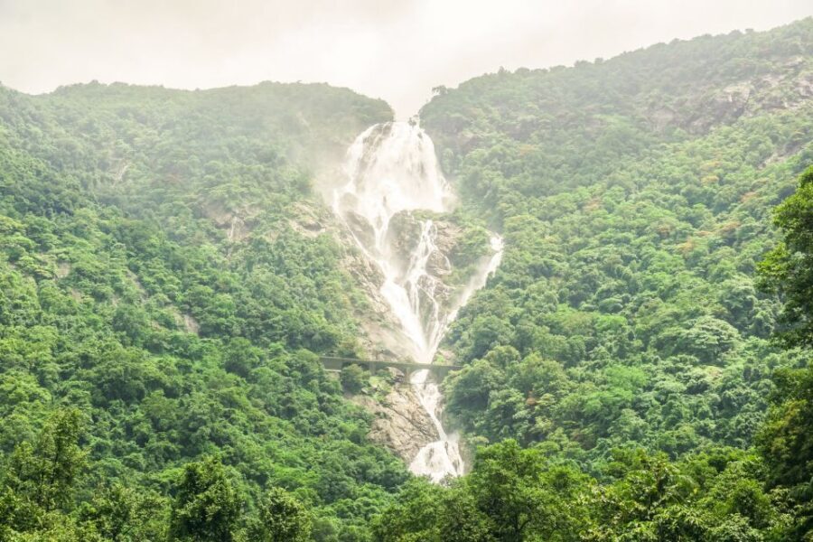 From Goa: Dudhsagar Waterfalls & Plantation Tour - Practical Details That Matter