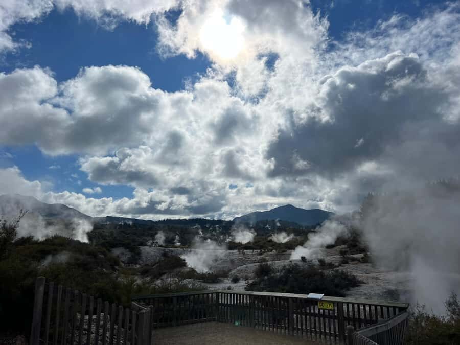 From Hamilton - WAI-O-TAPU, Redwood & Blue Springs Day Tour - Deep Dive into the Itinerary and Experience