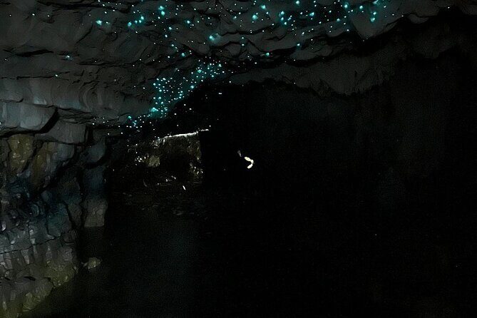 From Hamilton: Waitomo Glowworm & Cave Explorer Small Group Tour - Who Will Love This Tour?