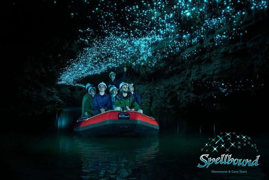 From Hamilton: Waitomo Glowworm Caves Explorer Small Group - Worth the Price?