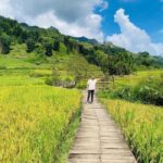 From Hanoi: 2-Days Sapa Trekking Tour Lao Chai and Cat Cat - Authenticity and Value