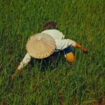 From Hanoi: Discover the Tranquil Beauty of Mai Chau by Bicycle - Considerations and Helpful Tips