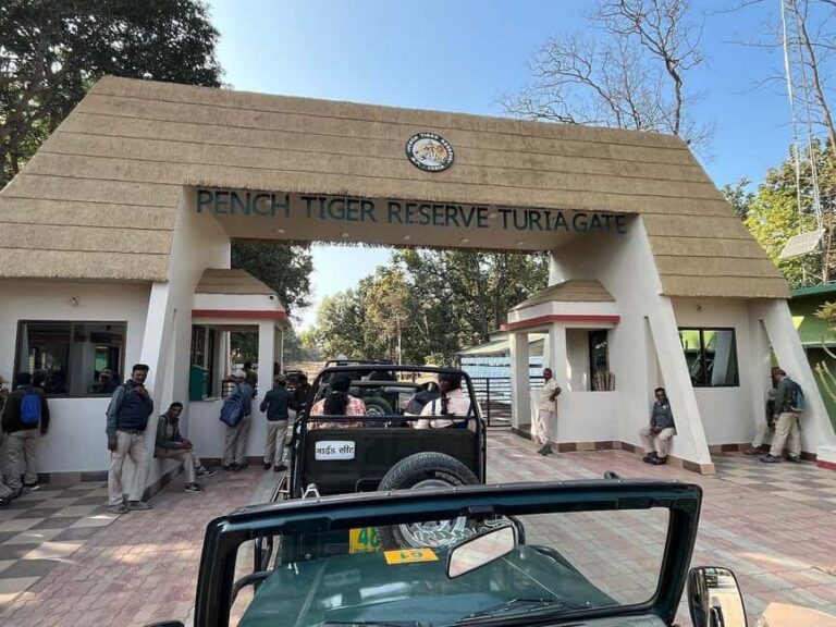 From Jaipur: 2-Day Ranthambore Tiger Safari with transfers - Why This Tour Offers Good Value