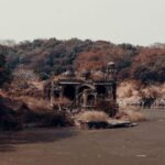 From Jaipur : 2 Days Ranthambore Tiger Safari Tour By Car - What to Expect: A Day-by-Day Breakdown