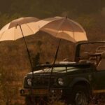 From Jaipur: Ranthambore National Park Day Trip with Safari - Why This Tour Offers Great Value