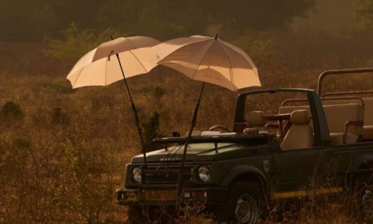 From Jaipur: Ranthambore National Park Day Trip with Safari - Why This Tour Offers Great Value