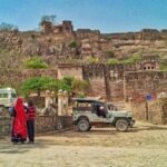 From Jaipur: Ranthambore Tiger Safari One Day Trip - The Experience Provider: Volgang Analysis