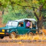 From Jaipur: Ranthambore Tiger Safari Overnight Tour - What Makes This Tour Stand Out?