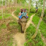From Kathmandu/Pokhara: 3 Day All-Inclusive Chitwan Safari - Who Should Consider This Tour?