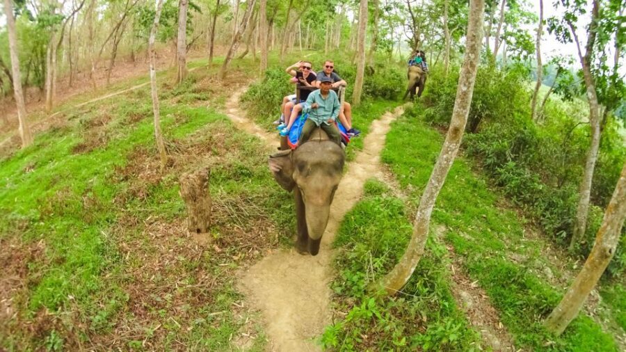 From Kathmandu/Pokhara: 3 Day All-Inclusive Chitwan Safari - Who Should Consider This Tour?