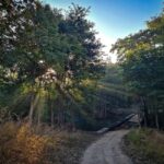 From Khajuraho: Panna National Park Official Tiger Safari - Exploring the Itinerary in Detail