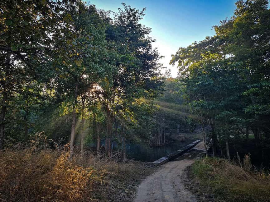 From Khajuraho: Panna National Park Official Tiger Safari - Exploring the Itinerary in Detail