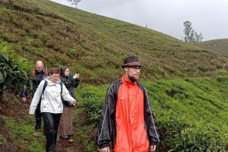 From Kochi:- 02 Days Munnar Hill Station & Nature Walk Tour - The Itinerary: Breaking Down the Highlights