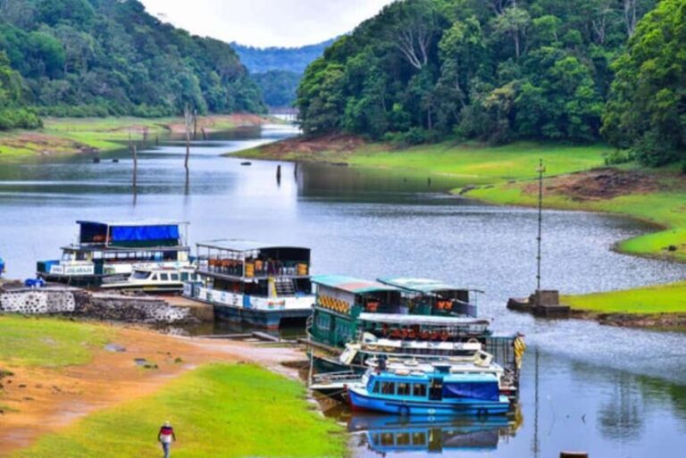 From Kochi:- 02 Days Periyar Wildlife Tour with Nature Walk - Why We Think This Tour Works Well