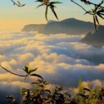 From Kochi:- 03 Days Munnar with Periyar Wildlife Tour - Day 1: Kochi to Munnar – The Green Escape