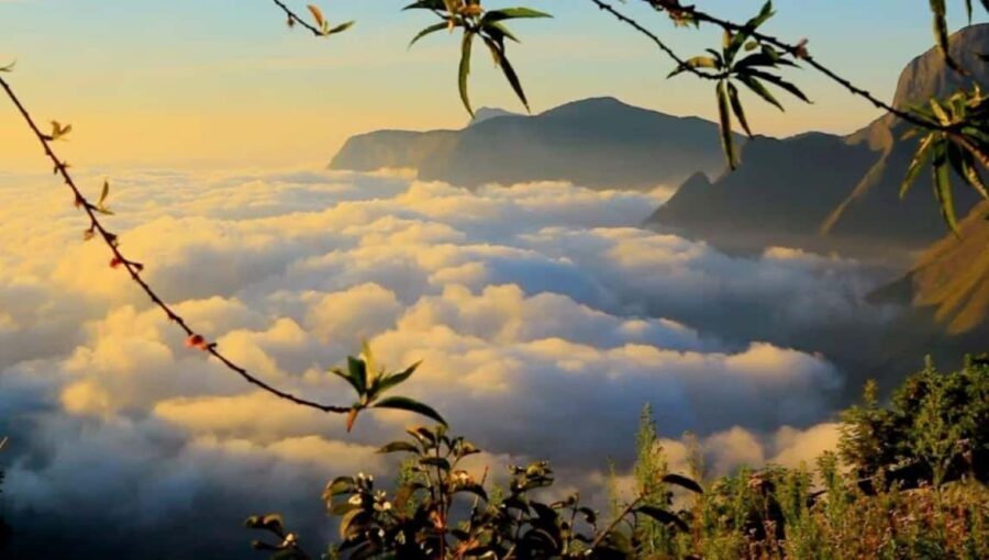 From Kochi:- 03 Days Munnar with Periyar Wildlife Tour - Day 1: Kochi to Munnar – The Green Escape