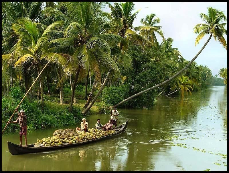 From Kochi: 2-Day 1-Night Alappuzha Private Houseboat Cruise - Detailed Itinerary Breakdown