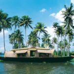 From Kochi: 3-Day Periyar Wildlife Sanctuary Tour - Day 2: Wildlife Safari, Boat Ride, and Spice Plantations