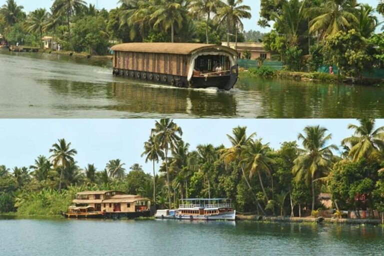 From Kochi: Alleppey Houseboat Day Cruise - What Makes This Tour Stand Out?