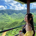 From Kuala Lumpur: Cameron Highlands Day Tour w/Lunch&Pickup - The Real Experience: What Travelers Say