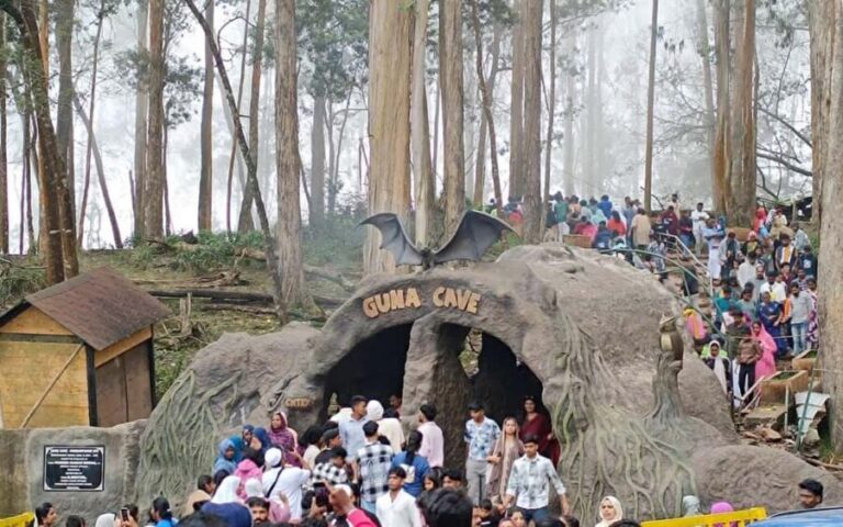 From Madurai: Kumbakarai Falls & Kodaikanal Full-Day Tour - Practical Details and What to Expect