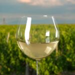 From Melbourne: Mornington Peninsula Private Winery Tour - What You Can Expect from This Tour