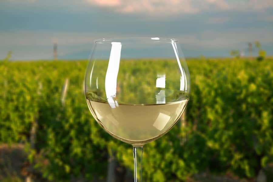 From Melbourne: Mornington Peninsula Private Winery Tour - What You Can Expect from This Tour