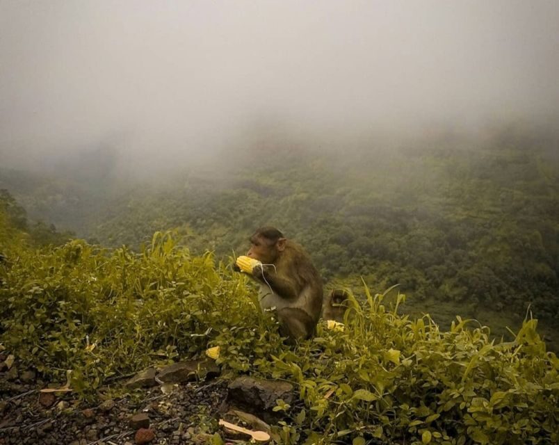 From Mumbai: Lonvala Hill Station & Tiger Point Private Tour - What This Tour Means for You