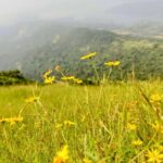 From Mumbai: Sondai Fort Guided Trek with Meals & Transfers - FAQ