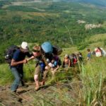 From Munnar: Tea Factory, Plantation, and National Park Tour - Is This Tour Worth the Price?