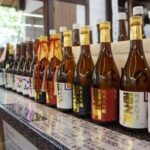 From Myoko Kogen: Snow Monkey Park and Zenkoji Temple Tour - Analyzing the Value