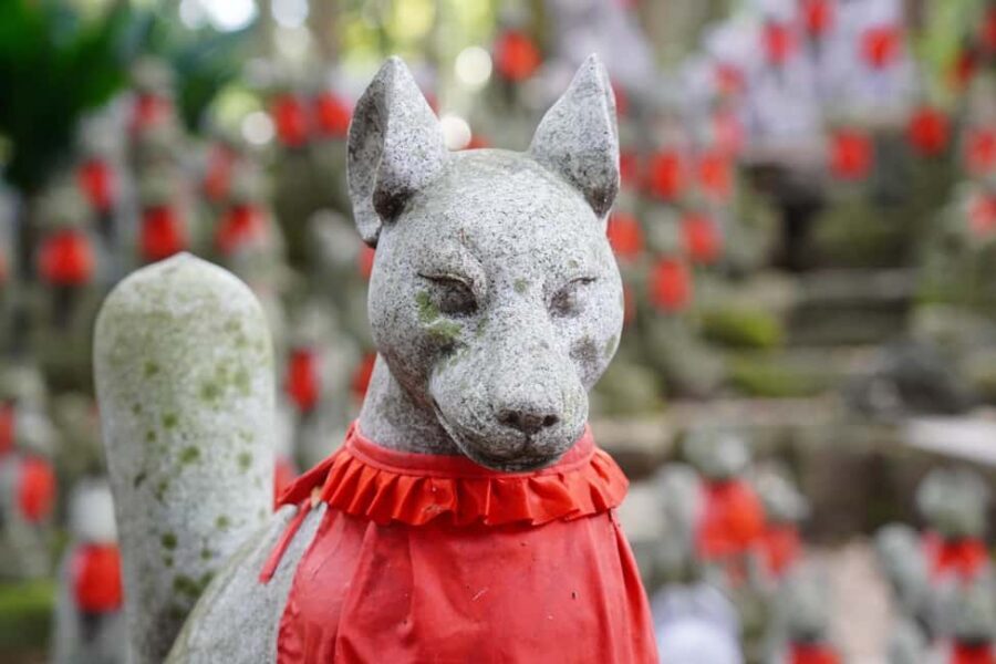 From Nagoya: Discover Aichi  Korankei, Miso, & Inari Shrine - A Day in Aichi: What to Expect and Why It Matters