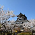 From Nagoya: Inuyama Day Trip - The Sum Up: Why This Tour Might Be Perfect for You