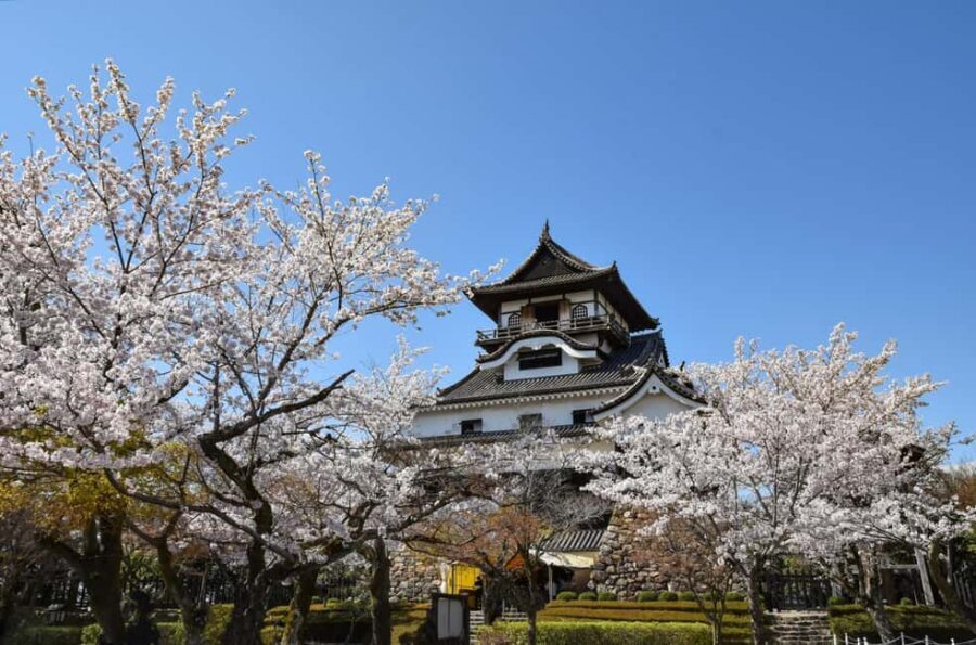 From Nagoya: Inuyama Day Trip - The Sum Up: Why This Tour Might Be Perfect for You