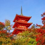 From Nagoya Kyoto Day Tour with Kobe Beef Shabu Shabu Lunch - The Authentic Experience