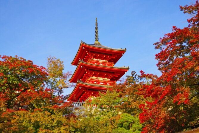 From Nagoya Kyoto Day Tour with Kobe Beef Shabu Shabu Lunch - The Authentic Experience