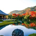 From Nagoya: Kyoto Day Tour with Pork Shabu-Shabu Lunch - The Lunch Experience: Pork Shabu-Shabu in Kyoto