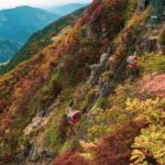 From Nagoya: Yoro Falls & Mt. Gozaisho Scenic Ropeway - Detailed Breakdown of the Experience
