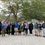 From Ninh Binh: Bai Dinh, Trang An, & Mua Cave Tour - What Travelers Say