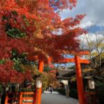 From Osaka/Kyoto: Kyoto Private Day Trip with Pickup - Who Would Enjoy This Tour?