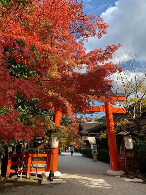 From Osaka/Kyoto: Kyoto Private Day Trip with Pickup - Who Would Enjoy This Tour?