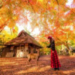 From Osaka: Kyoto & Nara Highlights Day Tour (7 attractions) - What Travelers Say