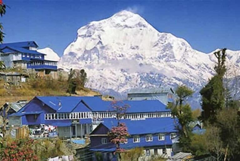 From Pokhara 7 Days (ABC) Trek With Poon Hill Sunrise - Why This Trek Offers Great Value for Travelers