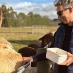 From Queenstown: Coach, Farm Tour & Milford Nature Cruise - Transportation and Comfort