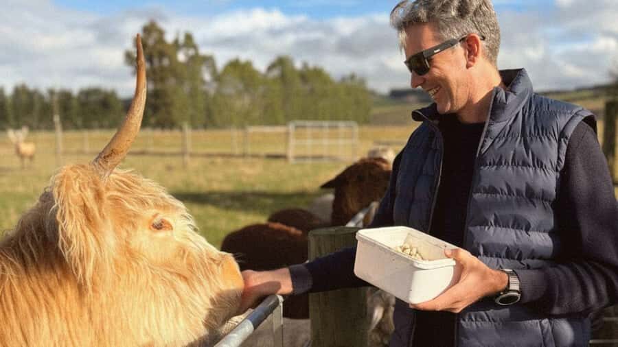 From Queenstown: Coach, Farm Tour & Milford Nature Cruise - Transportation and Comfort