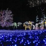 From Seoul: Hwacheon Ice Fishing and Lighting Festival Tour - The Experience of the Festivals