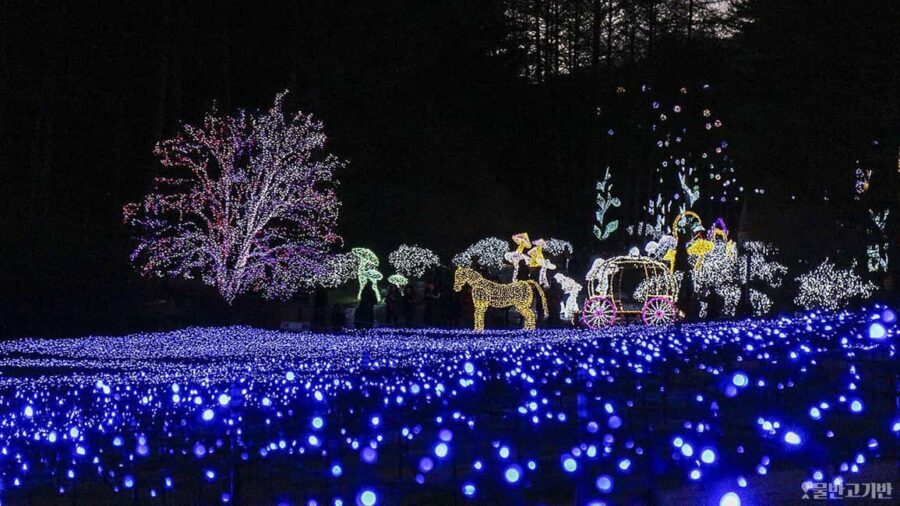 From Seoul: Hwacheon Ice Fishing and Lighting Festival Tour - The Experience of the Festivals